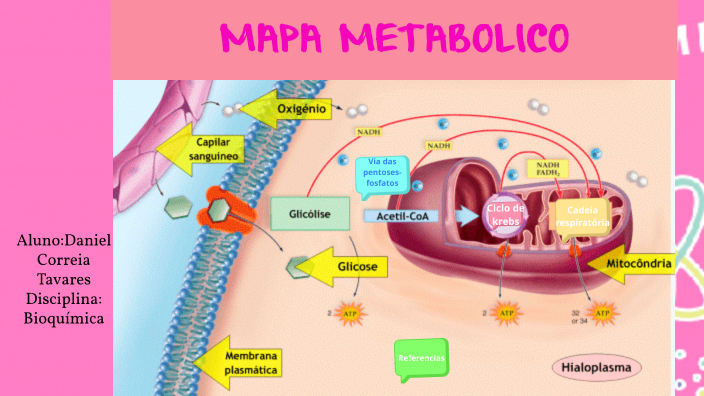MAPA METABOLICO-Daniel Correia by Jackeliny Dias on Prezi