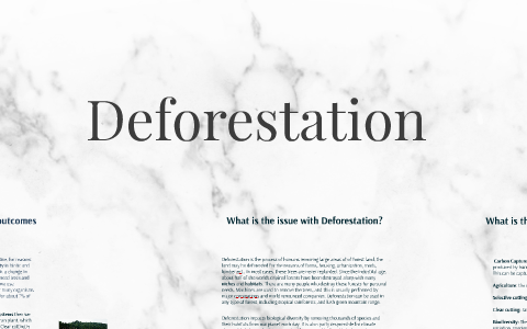 What is the possible future outcomes and directions? by sunny preisler ...