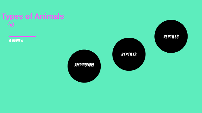 Types of Animals Prezi Demo by Braydon Bowmaker on Prezi