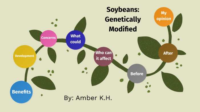 BioTech Soybeans by Amberlyn Henshall on Prezi