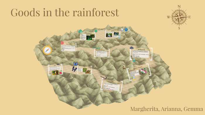 Goods in the rainforest by Arianna Spina on Prezi