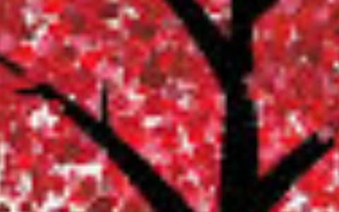 Psyche Family Tree by sean hoang on Prezi