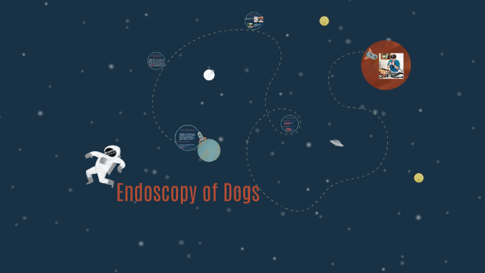Endoscopy of Dogs by Dina Sharaf on Prezi