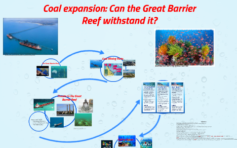 The Great Barrier Reef by Katrina Worth on Prezi
