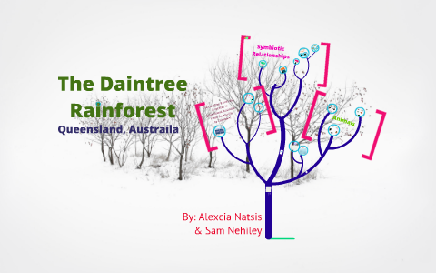 Daintree Rainforest Biome SN by Sam Nehiley on Prezi