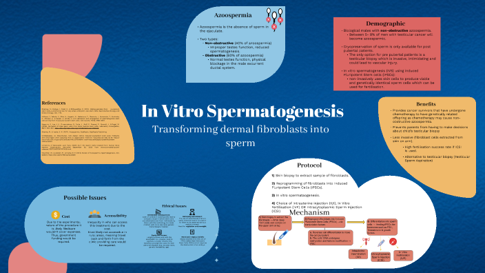In Vitro Spermatogenesis by Scarlett Kimberley on Prezi