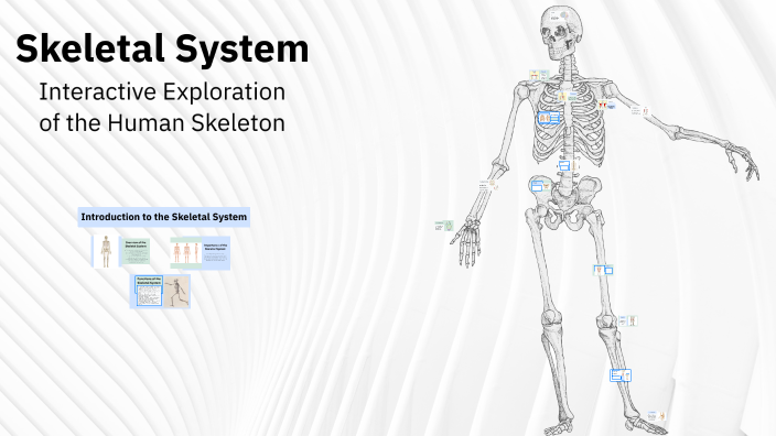 Skeletal System - Module 1 Option 2 by Adriane Angelo on Prezi