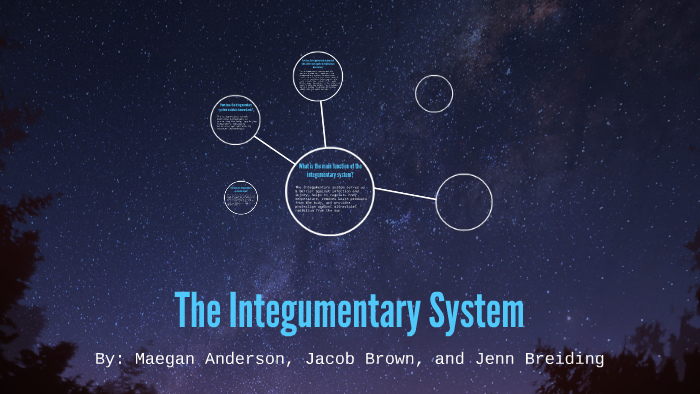 The Integumentary System by Maegan Anderson on Prezi