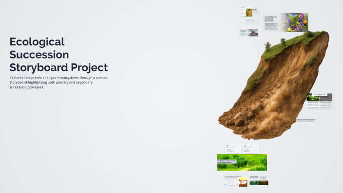 Ecological Succession Storyboard Project by Sofía victoria Castellano ...