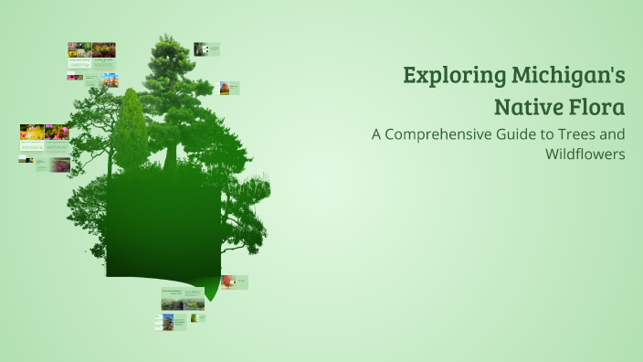 Exploring Michigan's Native Flora by KAYLEE CZERWINSKI on Prezi