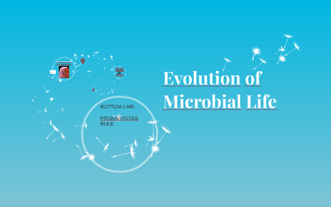 Evolution of Microbial Life by Jenna Barbary on Prezi
