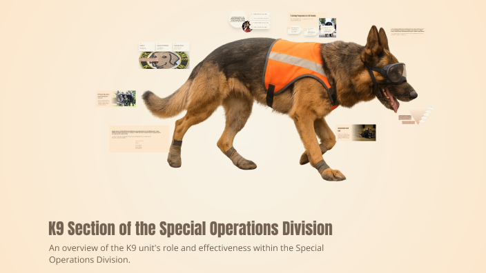K9 Section of the Special Operations Division by osvaldo adrian ...