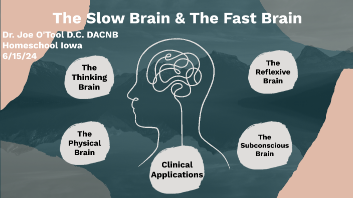 HI: Slow Brain, Fast Brain by lifestream clinic on Prezi