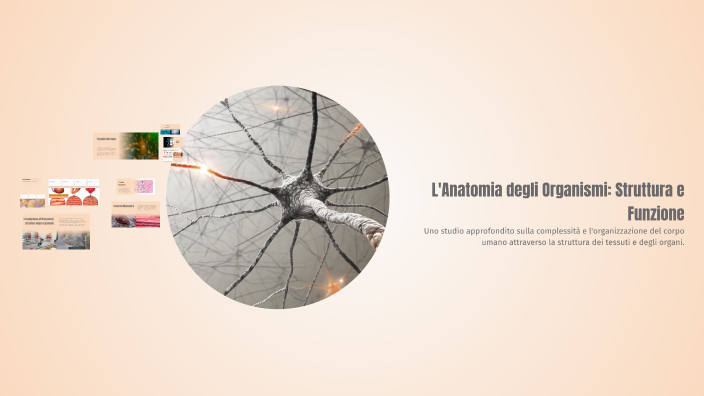 L'Anatomia degli Organismi: Struttura e Funzione by Lara Giggi on Prezi