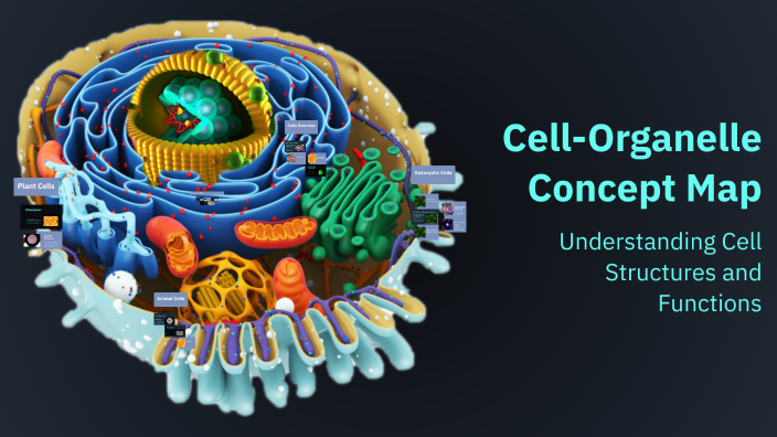 Cell-Organelle Concept Map by David Villalobos on Prezi