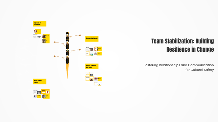 Team Stabilization: Building Resilience in Change by Sherri Di Lallo on ...