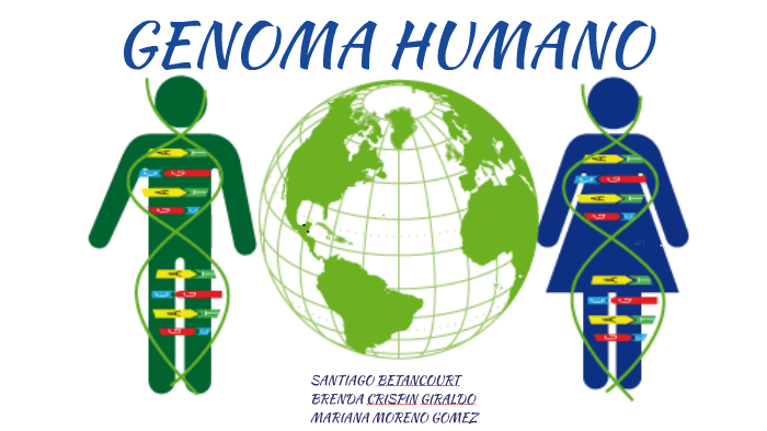 GENOMA HUMANO by Mariana Moreno on Prezi