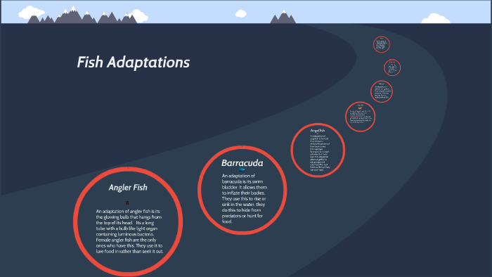 Fish Adaptations by Jake Santangelo on Prezi