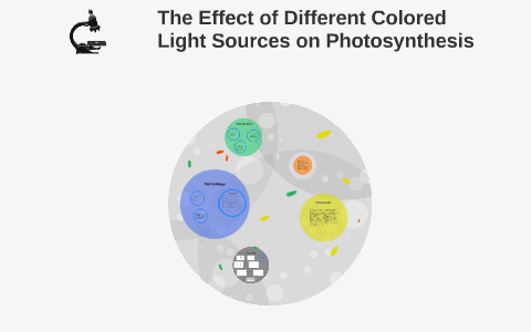 The Effect of Colored Light Sources on Photosynthesis by Emily P on Prezi