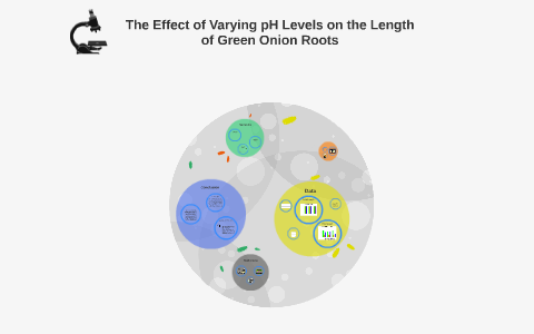 The Effect of Varying pH Levels on the Length of Green Onion by Taylor ...