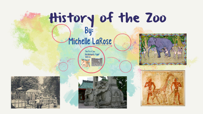 History of the Zoo by Michelle LaRose on Prezi