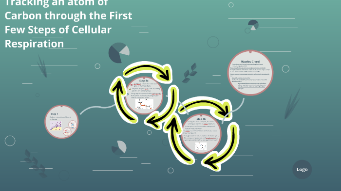 Tracking a Carbon Atom Through the First Few Steps of Cellular ...