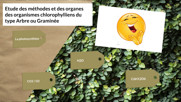 sf:lksj fùmqsf by Patrick Saint-patoche on Prezi