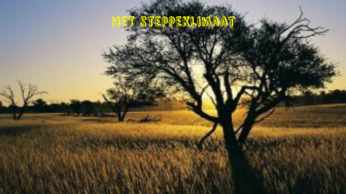 het steppeklimaat by Ivan Draijer on Prezi