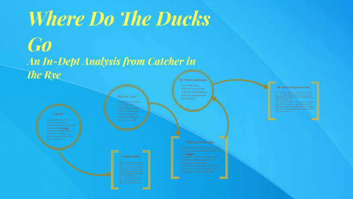 Where Do The Ducks Go? by Justin Martin