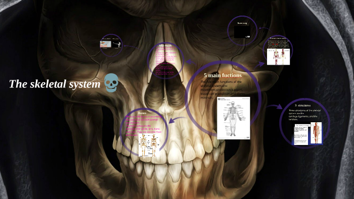 skeletal system by mya adler on Prezi