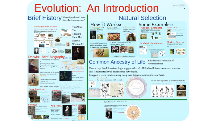 Ap Bio Evolution 1 Introduction To Evolution By Kristin Gabel On Prezi
