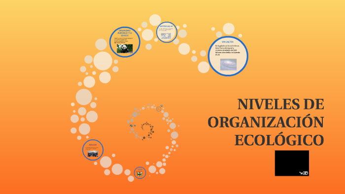 NIVELES DE ORGANIZACION ECOLOGICO by Angeles Ponce on Prezi