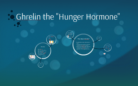 Ghrelin the "Hunger Hormone" by Abigail Ford on Prezi