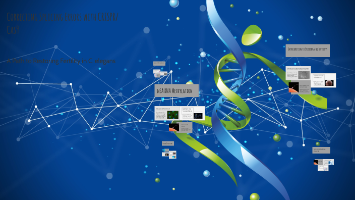 Correcting Splicing Errors with CRISPR/Cas9 by Boo7 Binhogs on Prezi