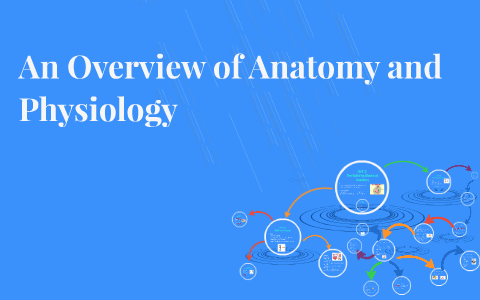 An Overview of Anatomy and Physiology by Haley Moser on Prezi