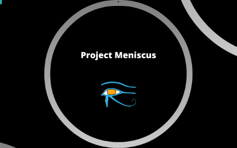 Project Meniscus by Sheena Gregson on Prezi