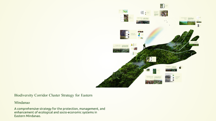 Biodiversity Corridor Cluster Strategy for Eastern Mindanao by Amy ...