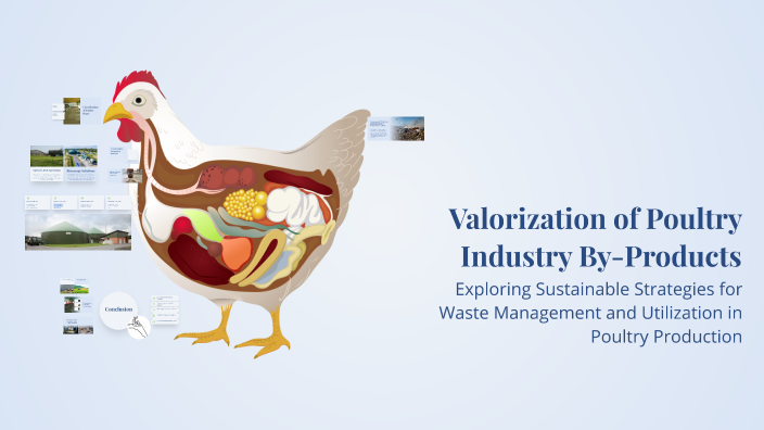 Valorization of Poultry Industry By-Products by Sujith Srinivasan on Prezi