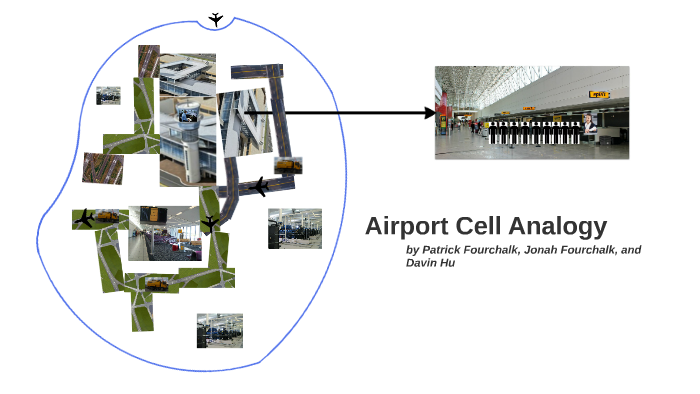 Biology 12 Airplane-Cell by Jonah Fourchalk on Prezi