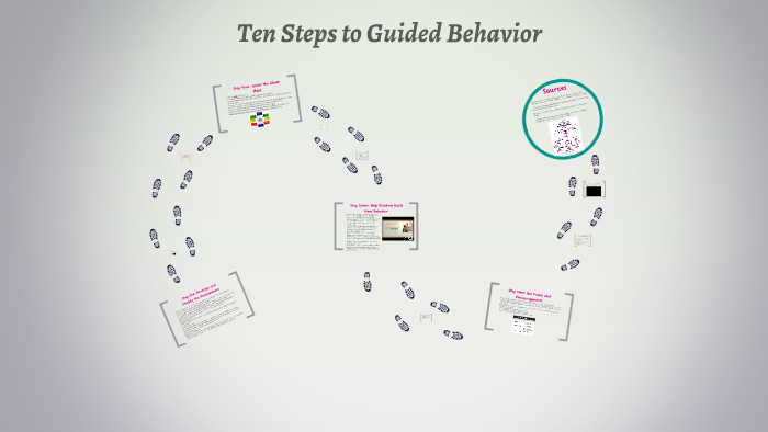 Ten Steps to Guided Behavior by Sky Brown on Prezi
