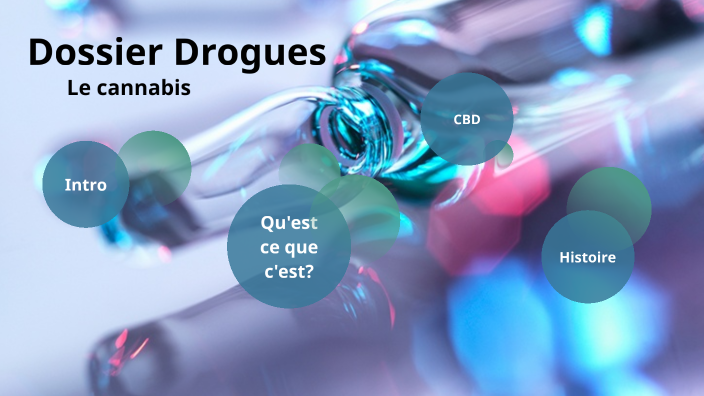 Dossier Drogues: Le cannabis by mo chi on Prezi