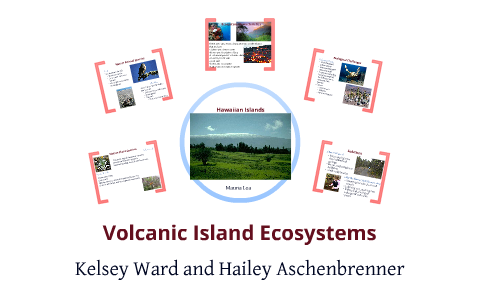 Volcanic Island Ecosystems by Hailey Aschenbrenner on Prezi