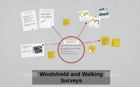 Windshield and Walking Surveys by Cait the cat Bri the bee on Prezi