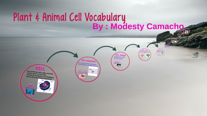 Plant & Animal Cell Vocabulary by Modesty Camacho on Prezi