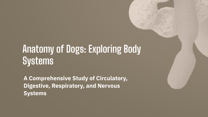 Anatomy of Dogs: Exploring Body Systems by Jake Green on Prezi