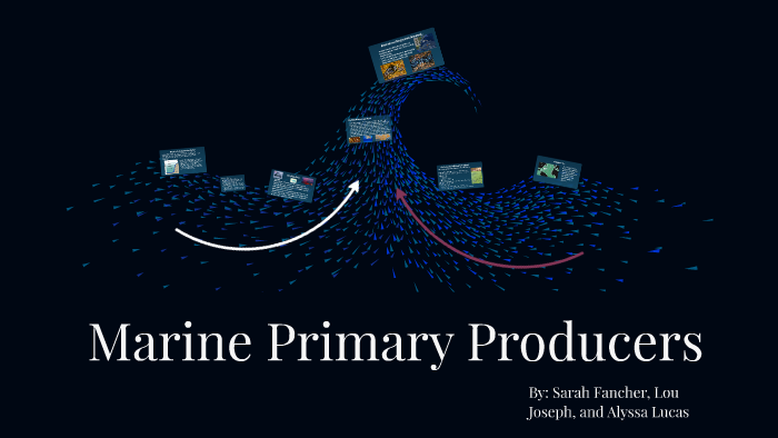 Marine Primary Producers by Sarah Fancher on Prezi