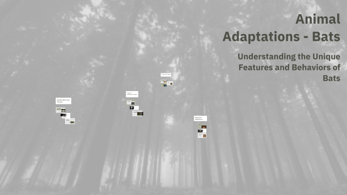Animal Adaptations - Bats by Braxton Adam on Prezi