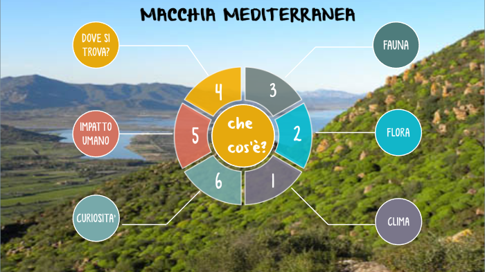 LA MACCHIA MEDITERRANEA by Giulia Bottene on Prezi