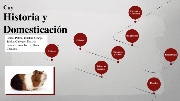 Cuy Domesticacion by Ismael Palma on Prezi