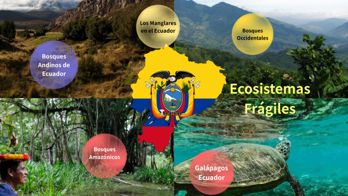 Ecosistemas Frágiles by GERMAN PATRICIO CACERES VILLAGOMEZ on Prezi